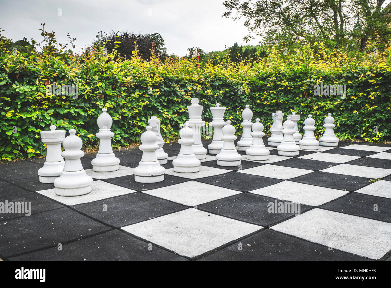 Large chess game in a park in the spring with a large green hedge Stock ...