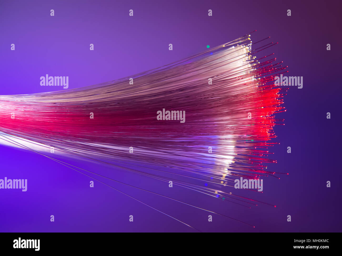 fiber optical network cable Stock Photo - Alamy