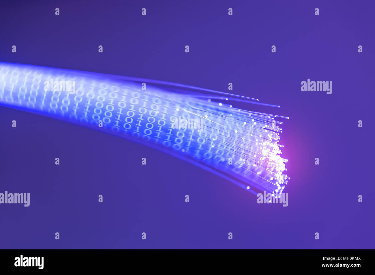 fiber optical network cable Stock Photo - Alamy