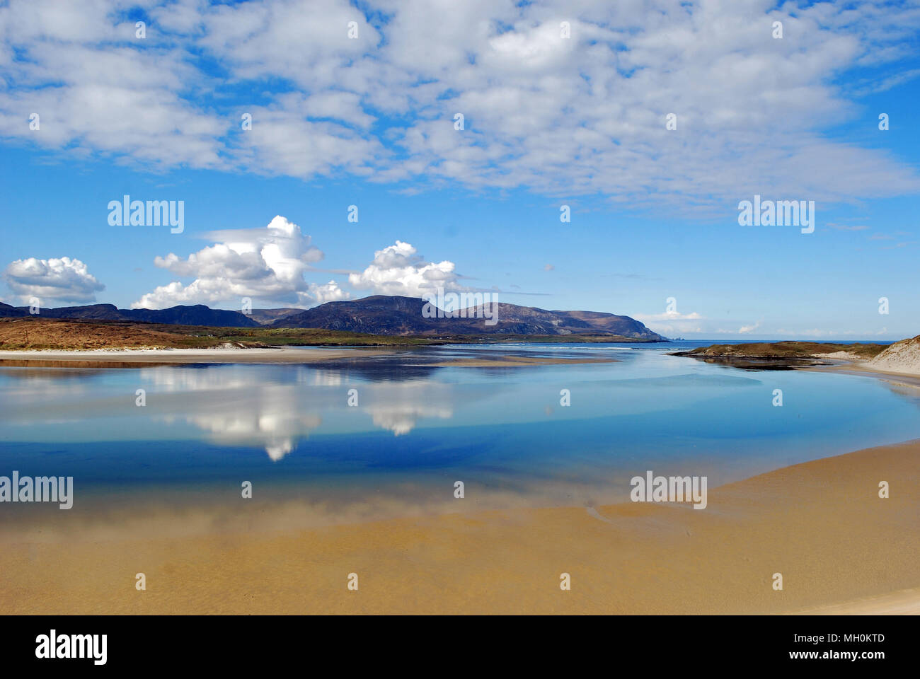 Bird coast county donegal hi-res stock photography and images - Alamy