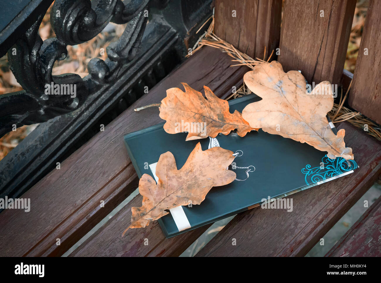 Fallen oak wooden bench hi-res stock photography and images - Alamy