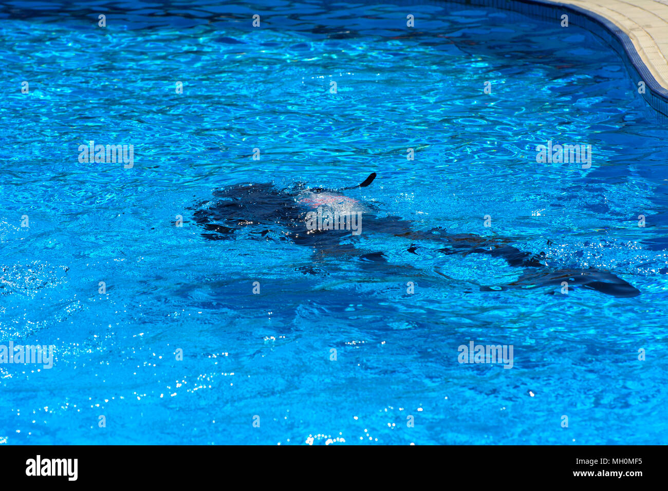 Divers sink in the pool. The teacher teaches the pupil the rules and ...