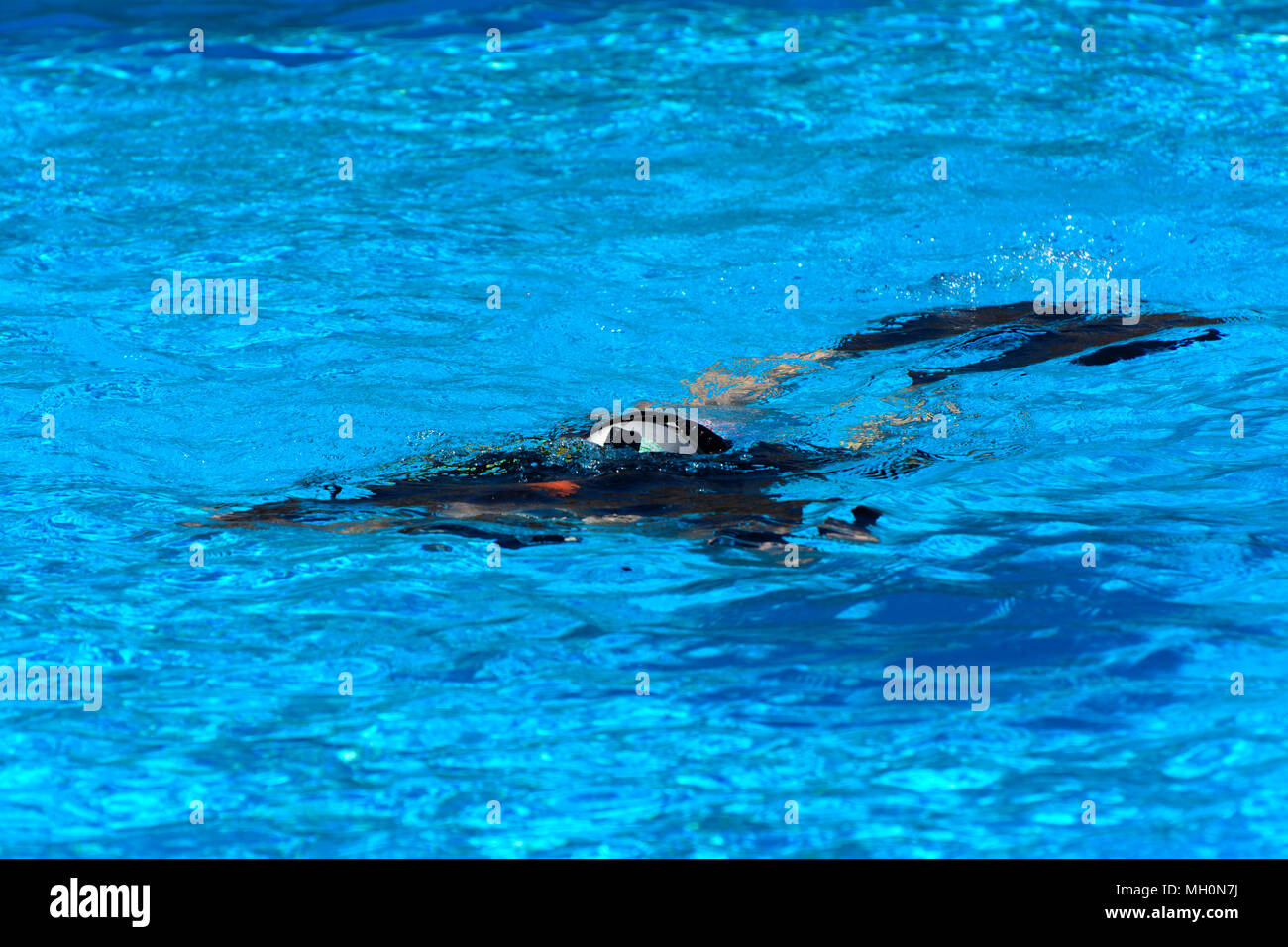 Divers sink in the pool. The teacher teaches the pupil the rules and ...
