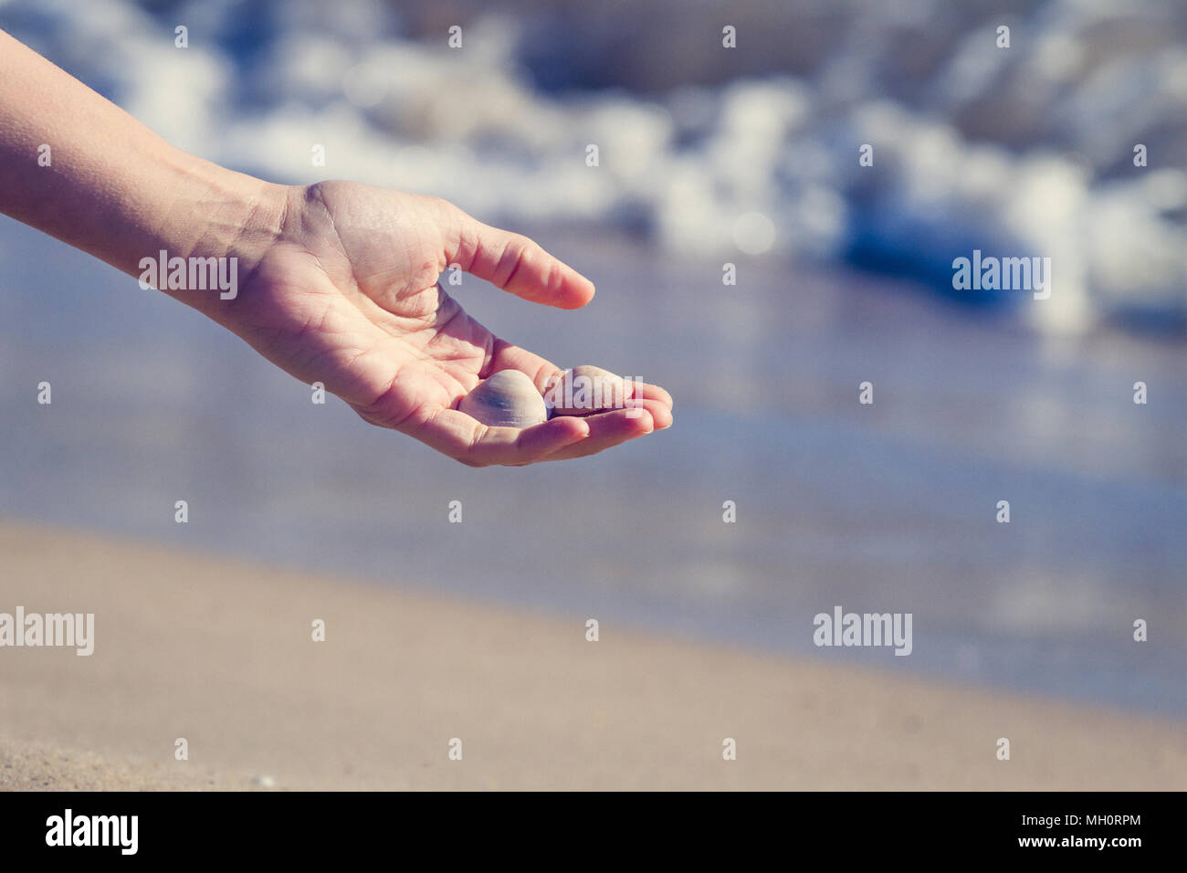 Hand holding shell hi-res stock photography and images - Alamy