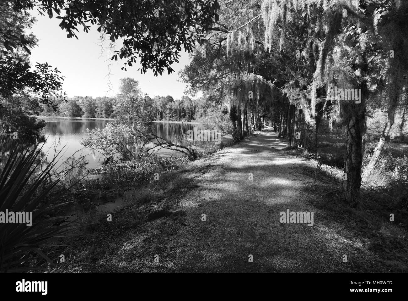 South carolina scenic Black and White Stock Photos & Images - Alamy