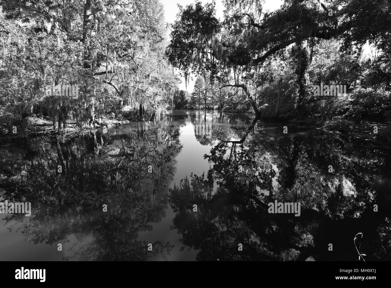 South carolina scenic Black and White Stock Photos & Images - Alamy