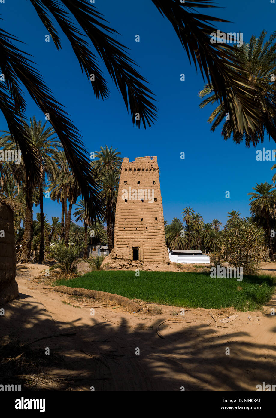 Traditional mud-bricks houses in an oasis, Najran Province, Najran ...