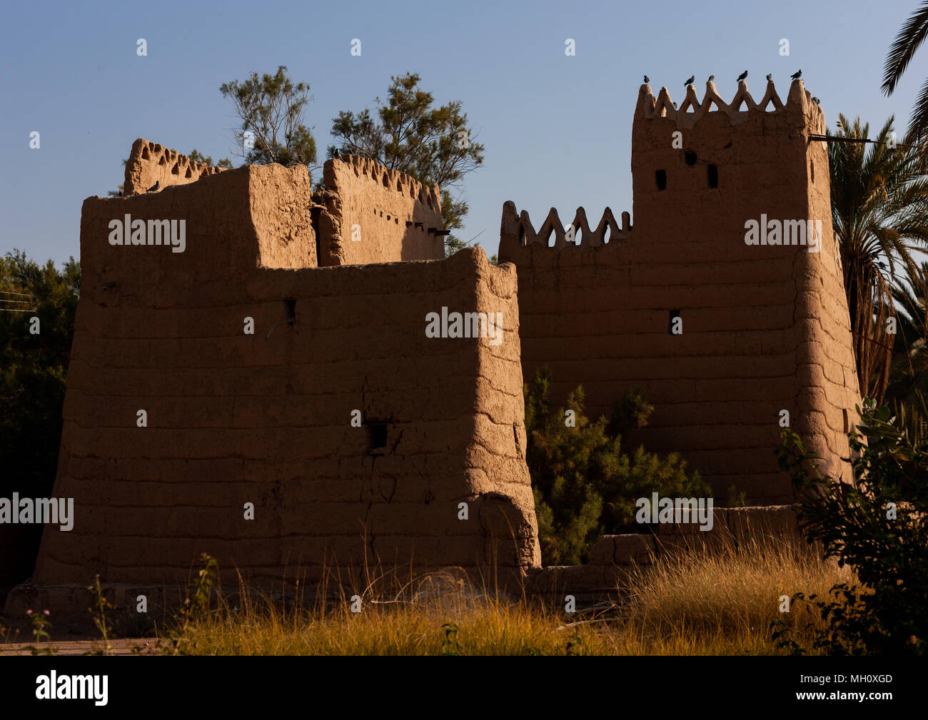 Traditional mud-bricks house, Najran Province, Najran, Saudi Arabia ...
