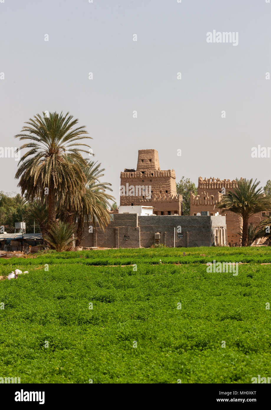Traditional mud-bricks house in an oasis, Najran Province, Najran ...