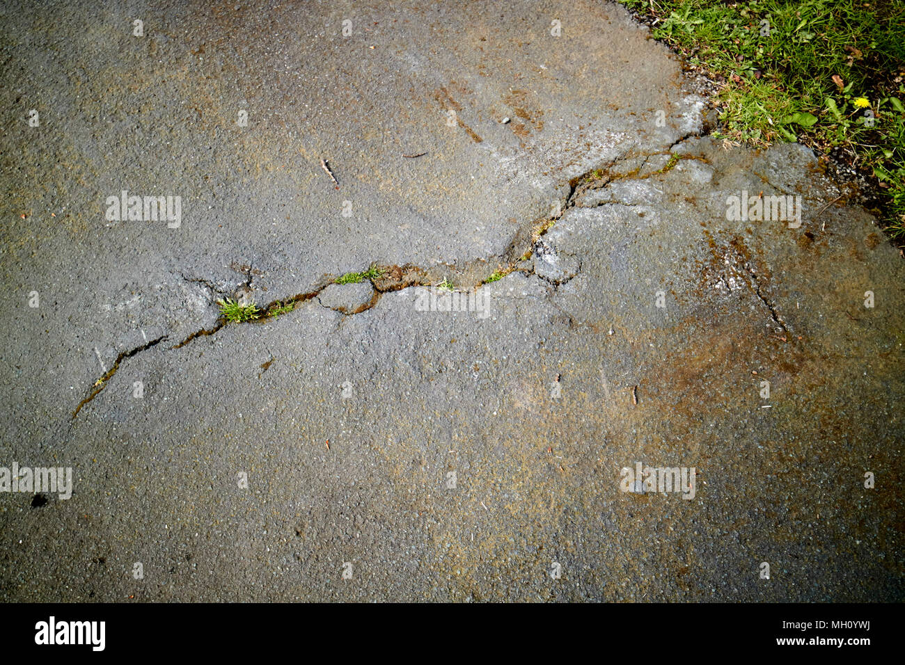 Tree roots damage hi-res stock photography and images - Alamy