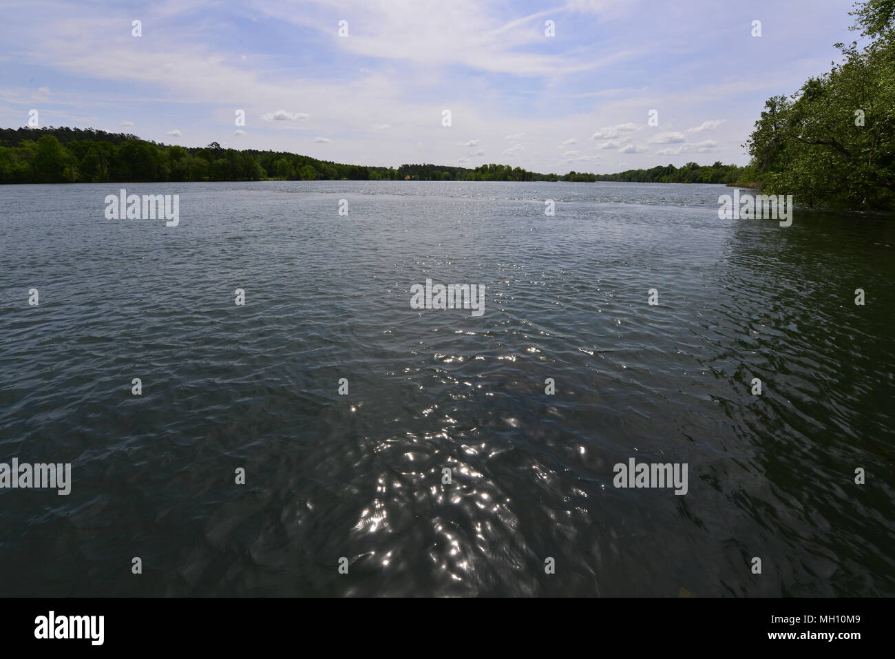 The Savannah river in Augusta, Georgia Stock Photo - Alamy