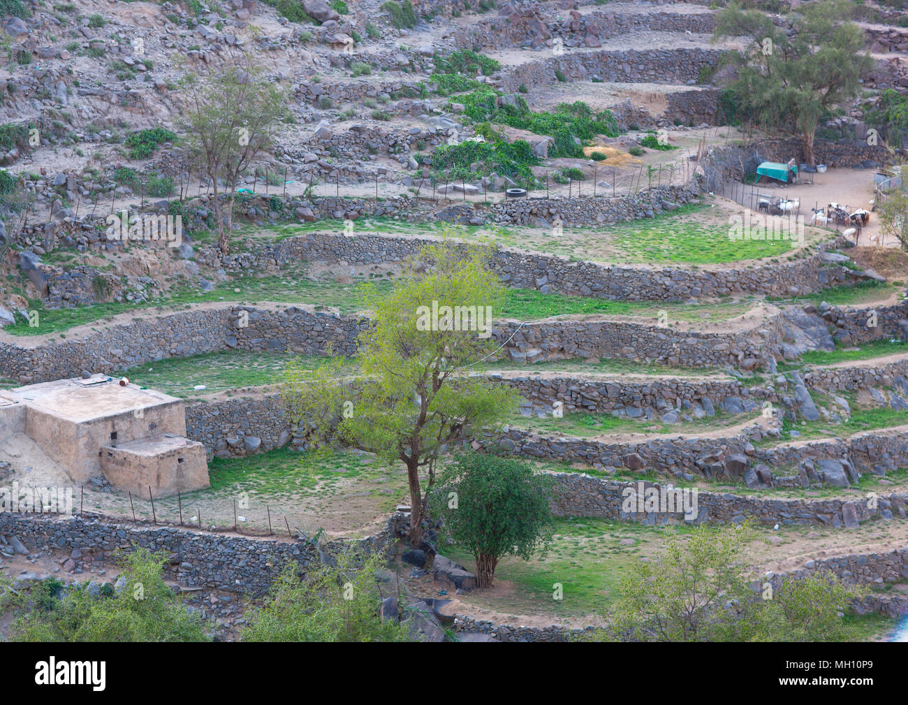 Fayfa hi-res stock photography and images - Alamy