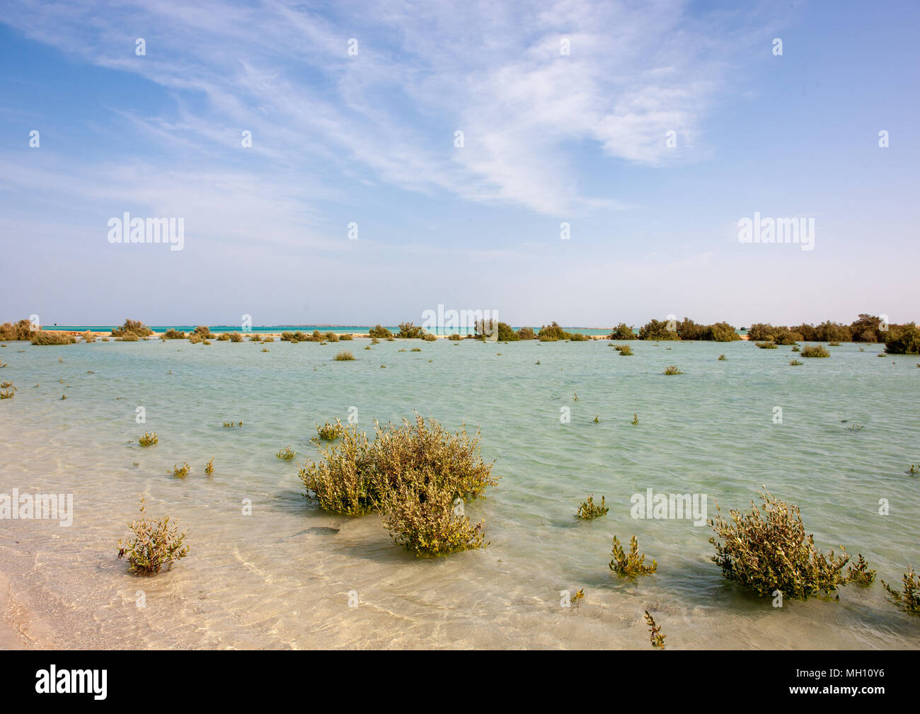 Jazan High Resolution Stock Photography and Images - Alamy