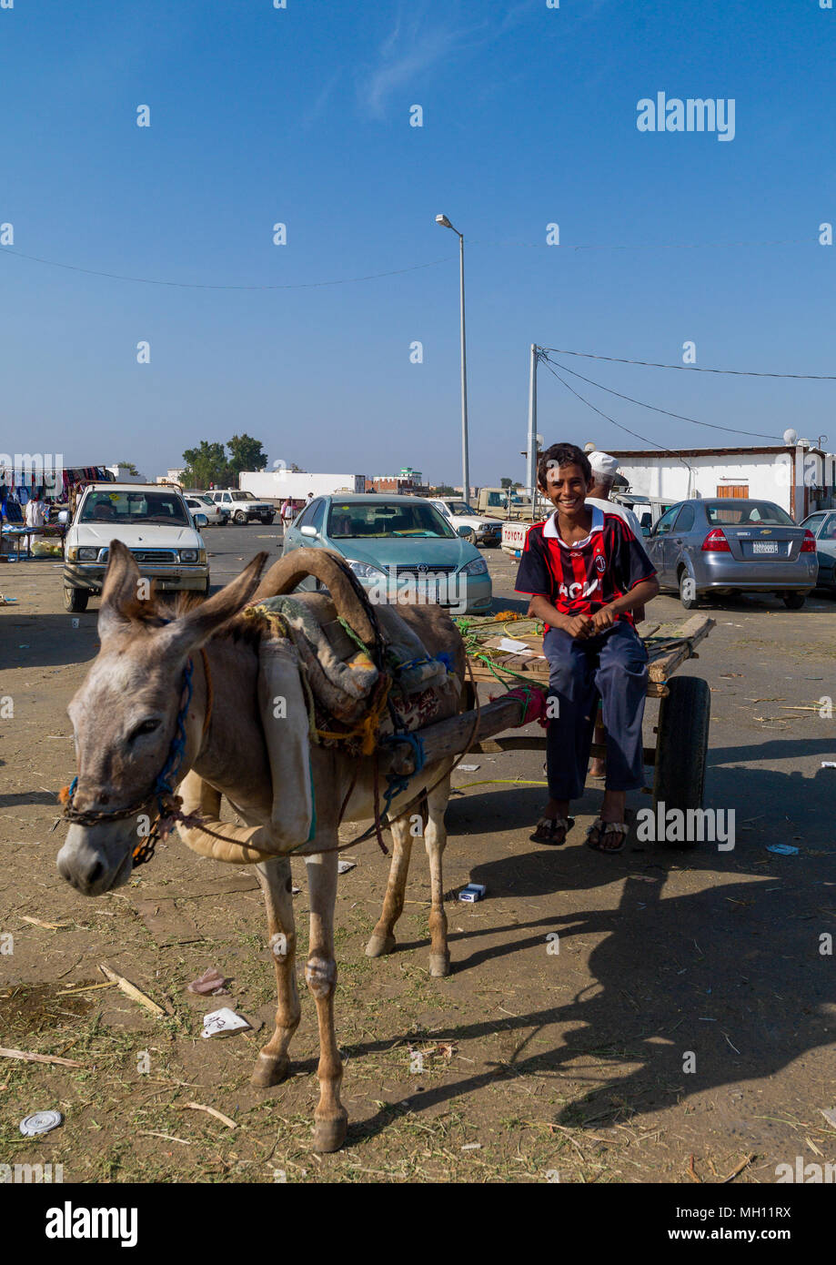 Saudi people donkey hi-res stock photography and images - Alamy