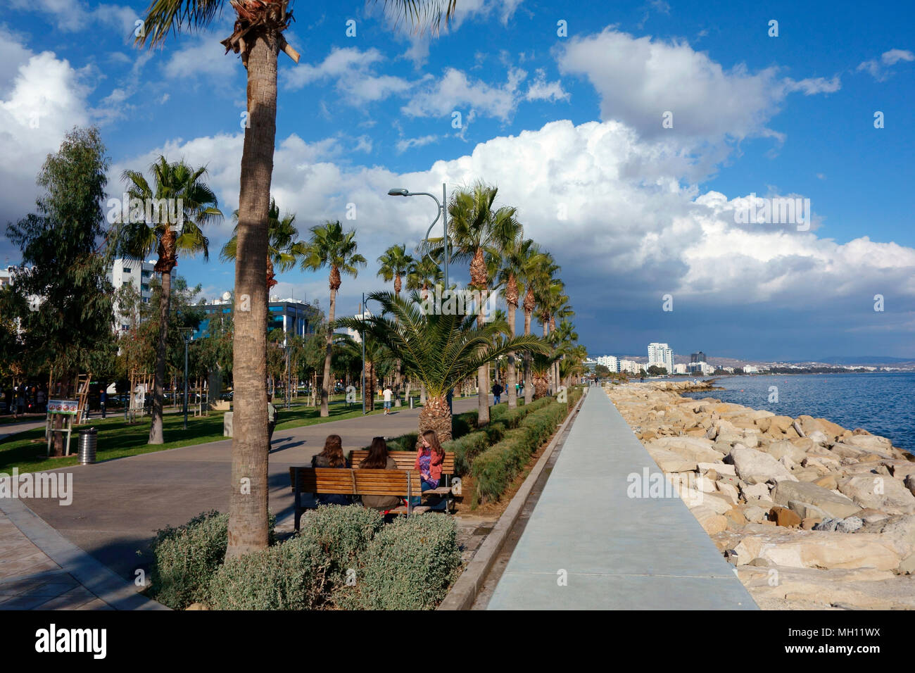 Palm tree lined seafront promenade in Lemesos (Limassol), Mediterranean ...