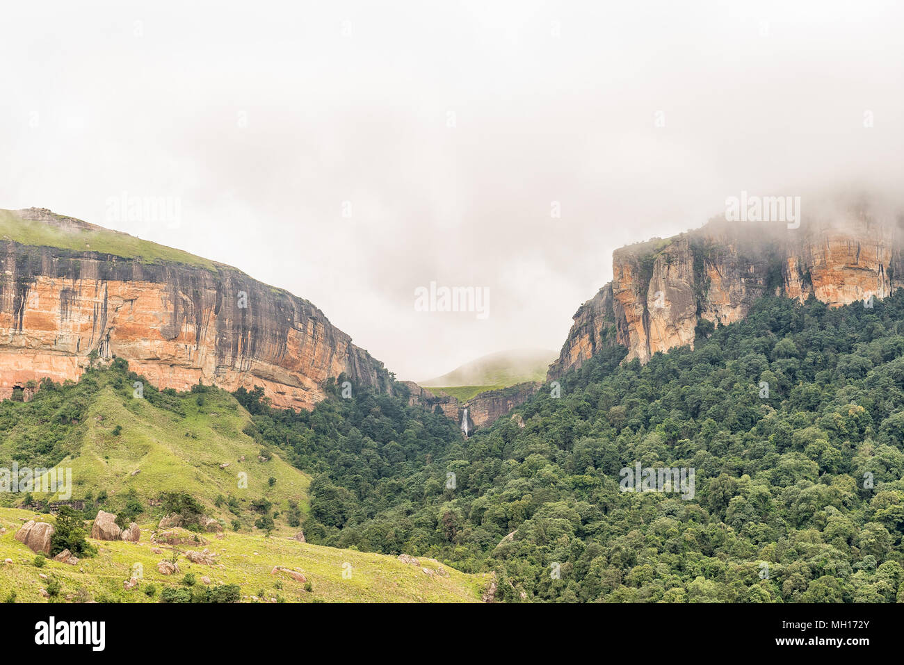 The Gudu Forest with the Gudu falls in the back near Mahai in the ...