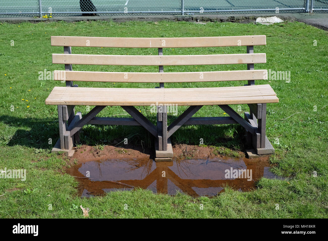 Bench in a park with mud puddle Stock Photo - Alamy