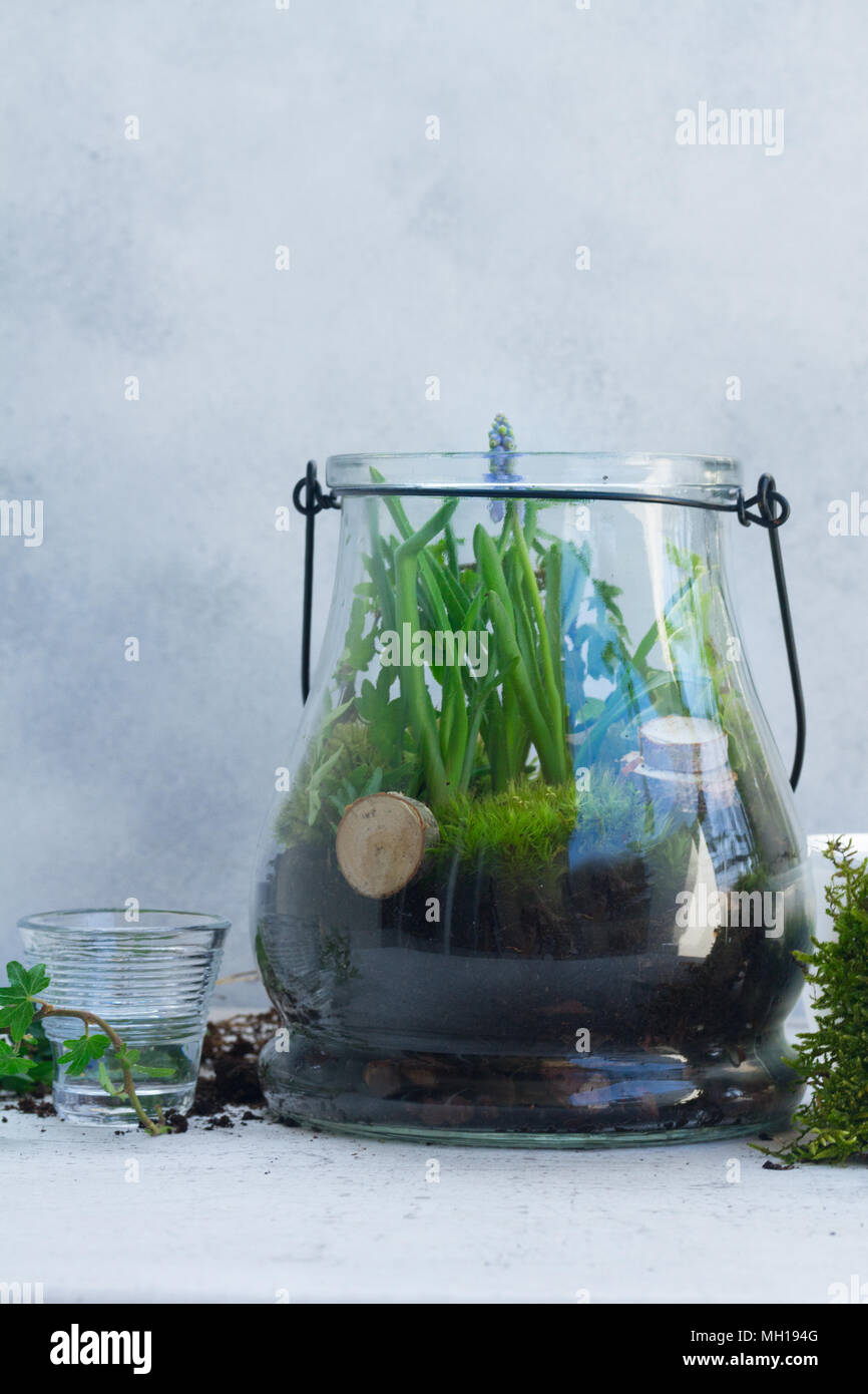 Indoorgarden hi-res stock photography and images - Alamy