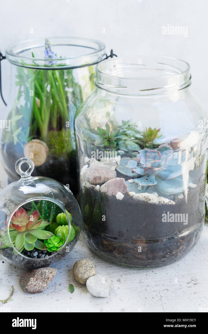 Indoorgarden hi-res stock photography and images - Alamy