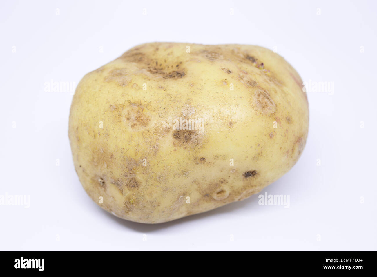 Potato 'King Edward' Stock Photo - Alamy