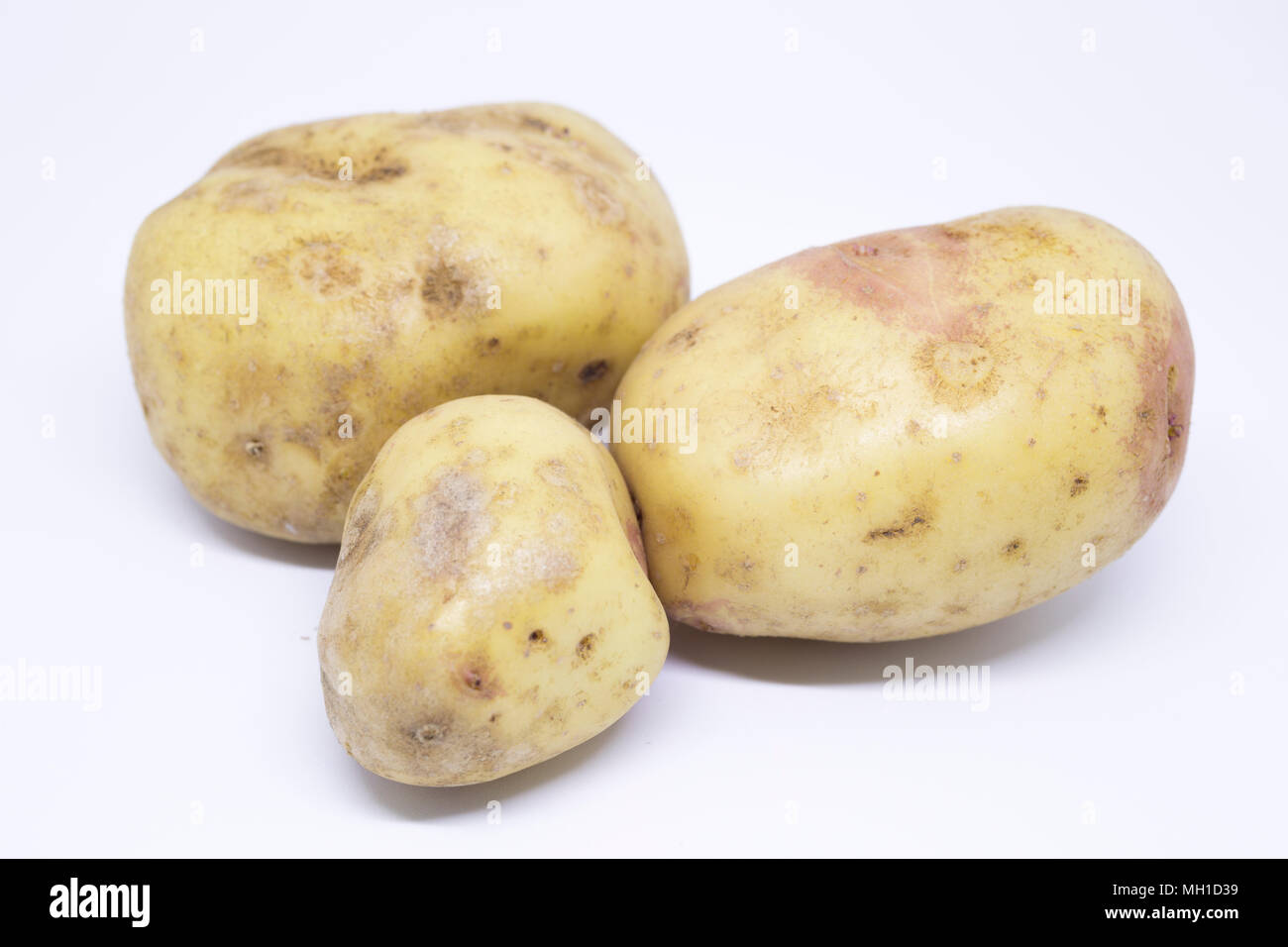 Potato 'King Edward' Stock Photo - Alamy