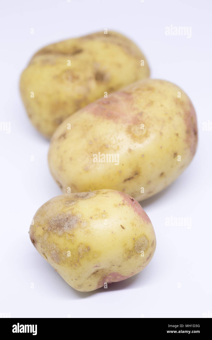 Potato 'King Edward' Stock Photo - Alamy