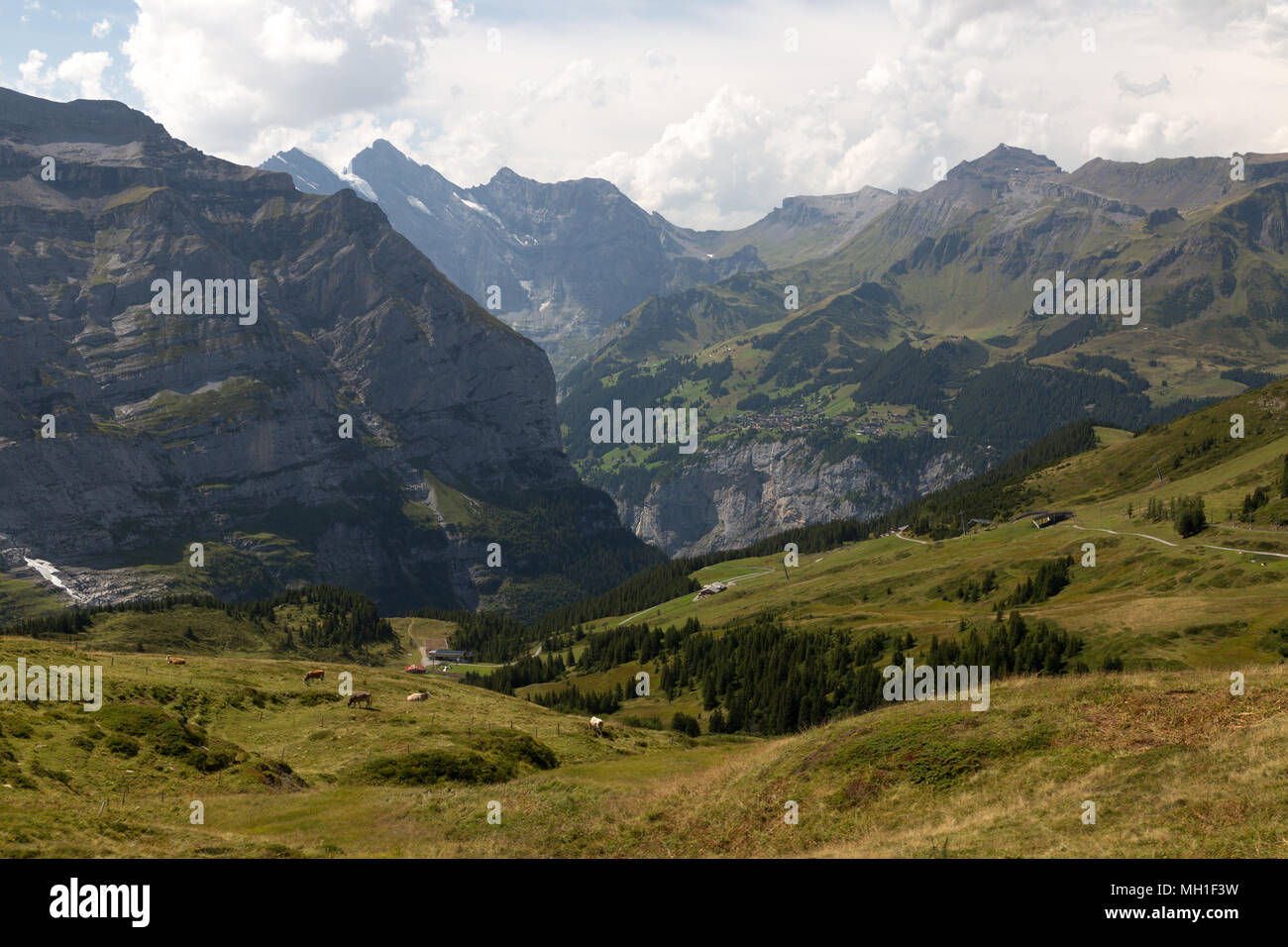 Grindelwald valley hi-res stock photography and images - Alamy