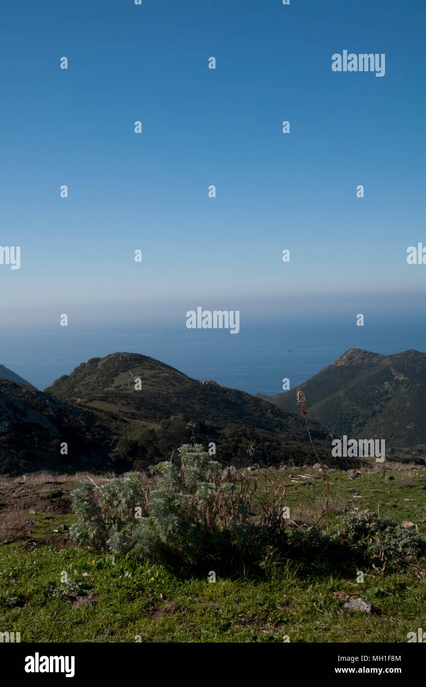 Vegetation hills covered in mediterranean macchia vegetation hi-res ...