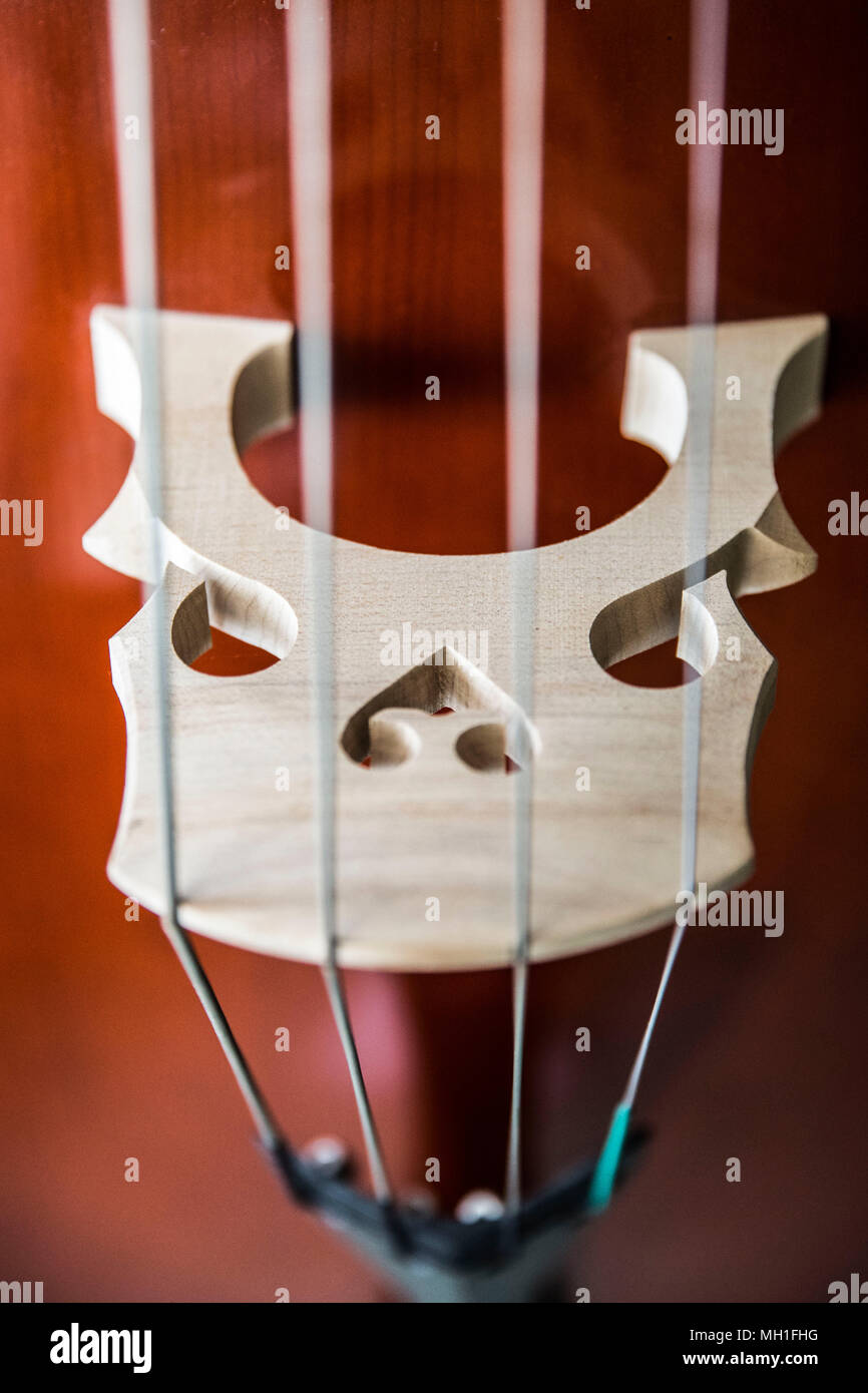 Strings orchestra hi-res stock photography and images - Alamy