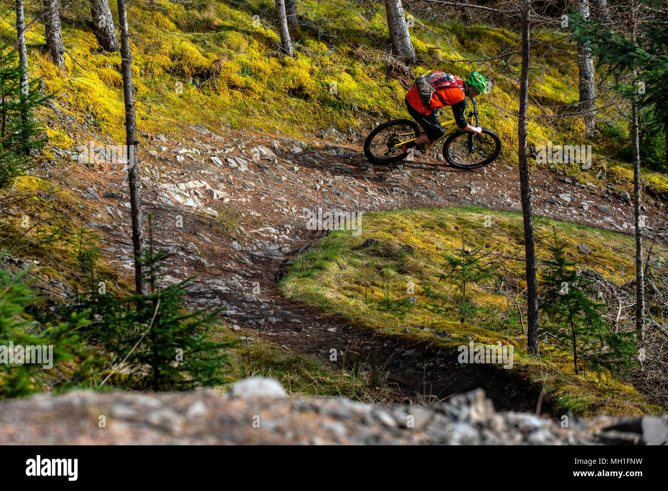 A man rides a mountain bike on a trail near the town of Innerleithen ...