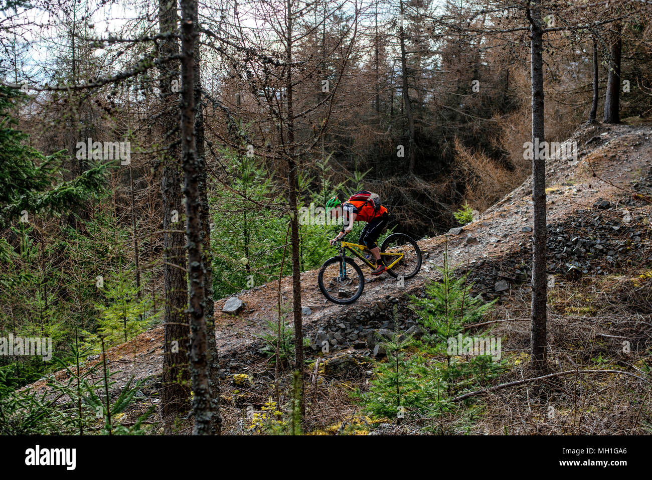 A man rides a mountain bike on a trail near the town of Innerleithen ...