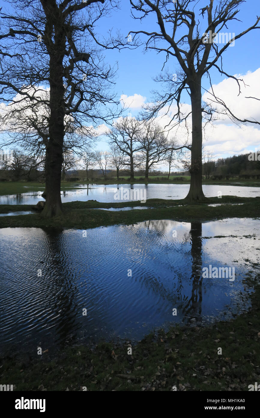 Shincliffe hi-res stock photography and images - Alamy