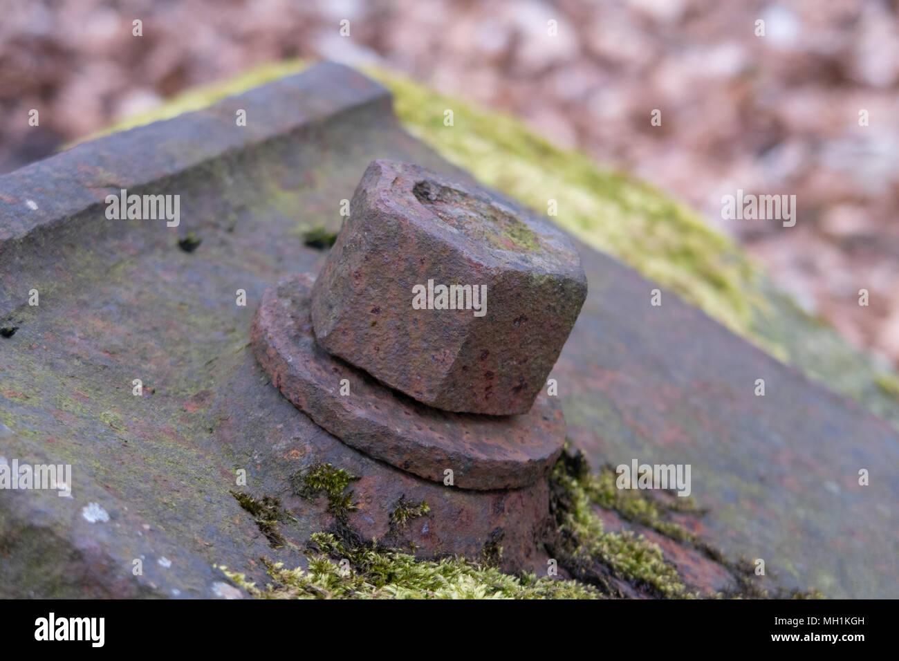 See through plate hi-res stock photography and images - Alamy