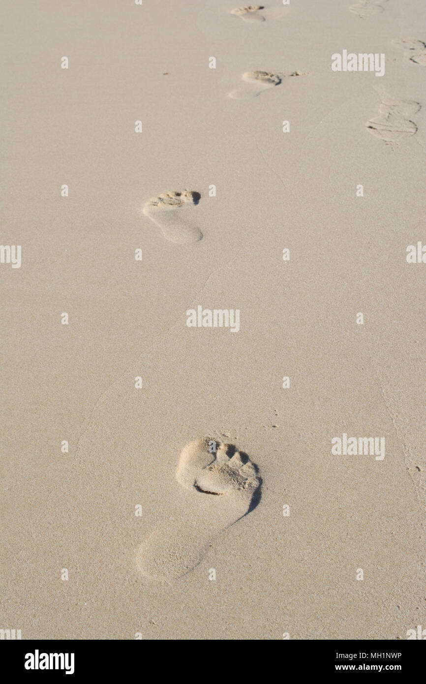 One adult's footprints in the sand Stock Photo - Alamy