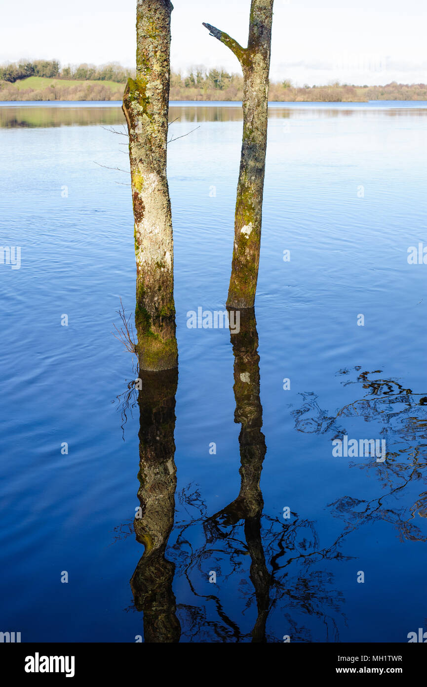 Killykeen forest park hi-res stock photography and images - Alamy