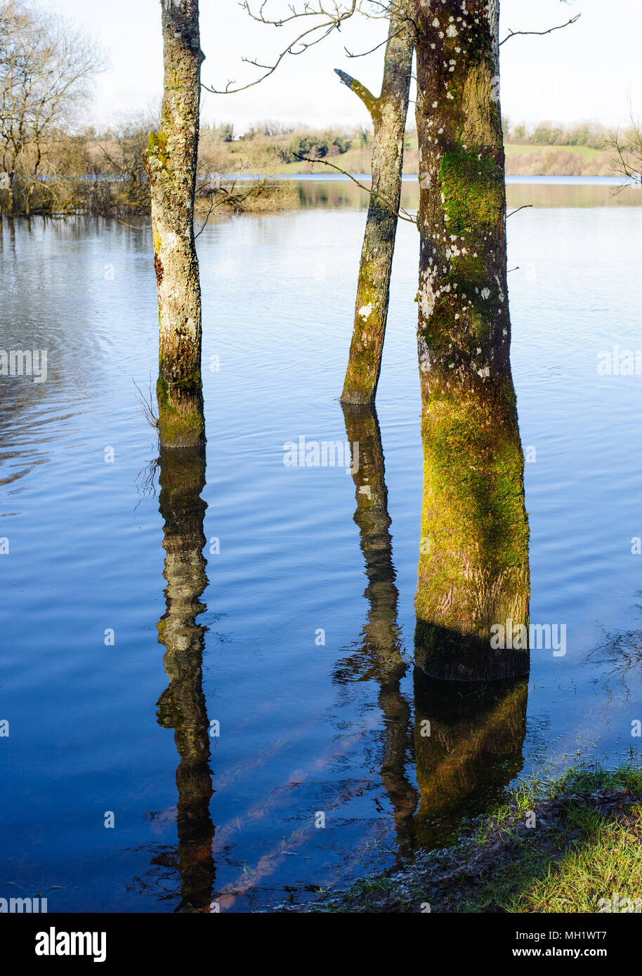 Time for nature hi-res stock photography and images - Alamy