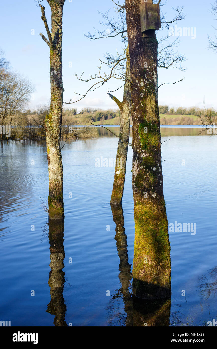 Killykeen forest park hi-res stock photography and images - Alamy