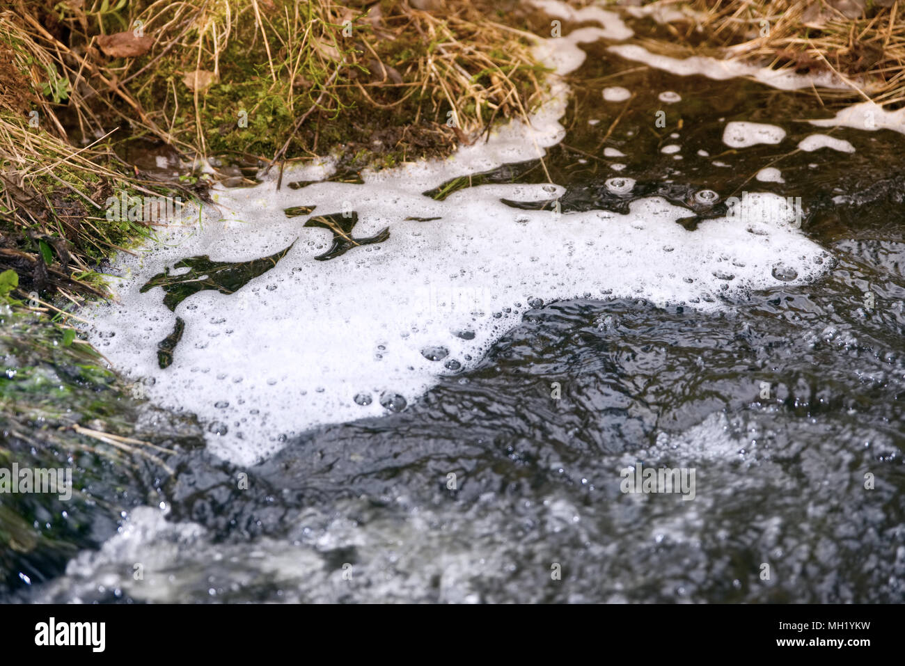 Foam on the water in a small creek brook stream in Norway Stock Photo ...