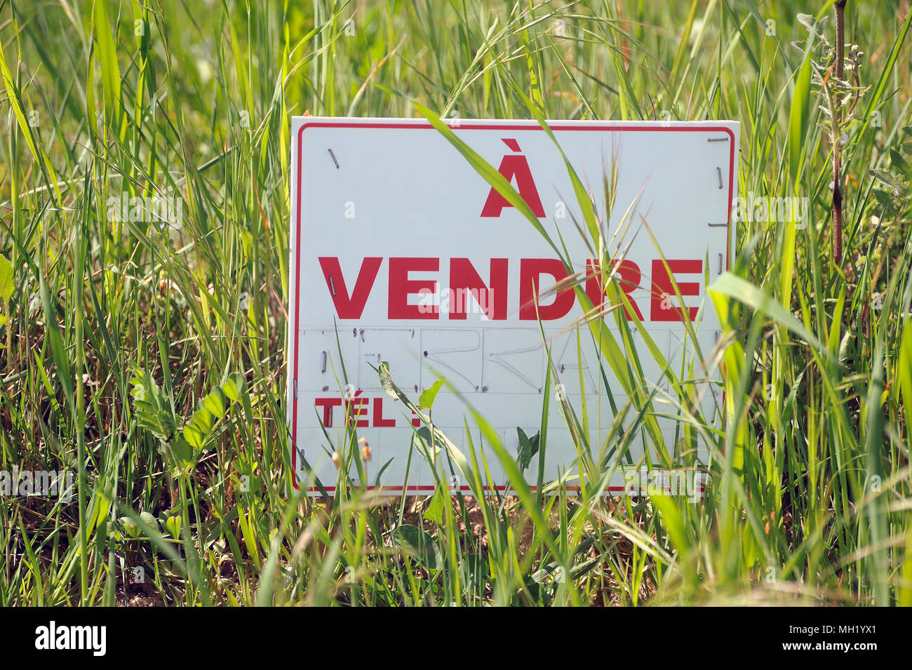 sign indicating that land is for sale in a rural area Stock Photo - Alamy