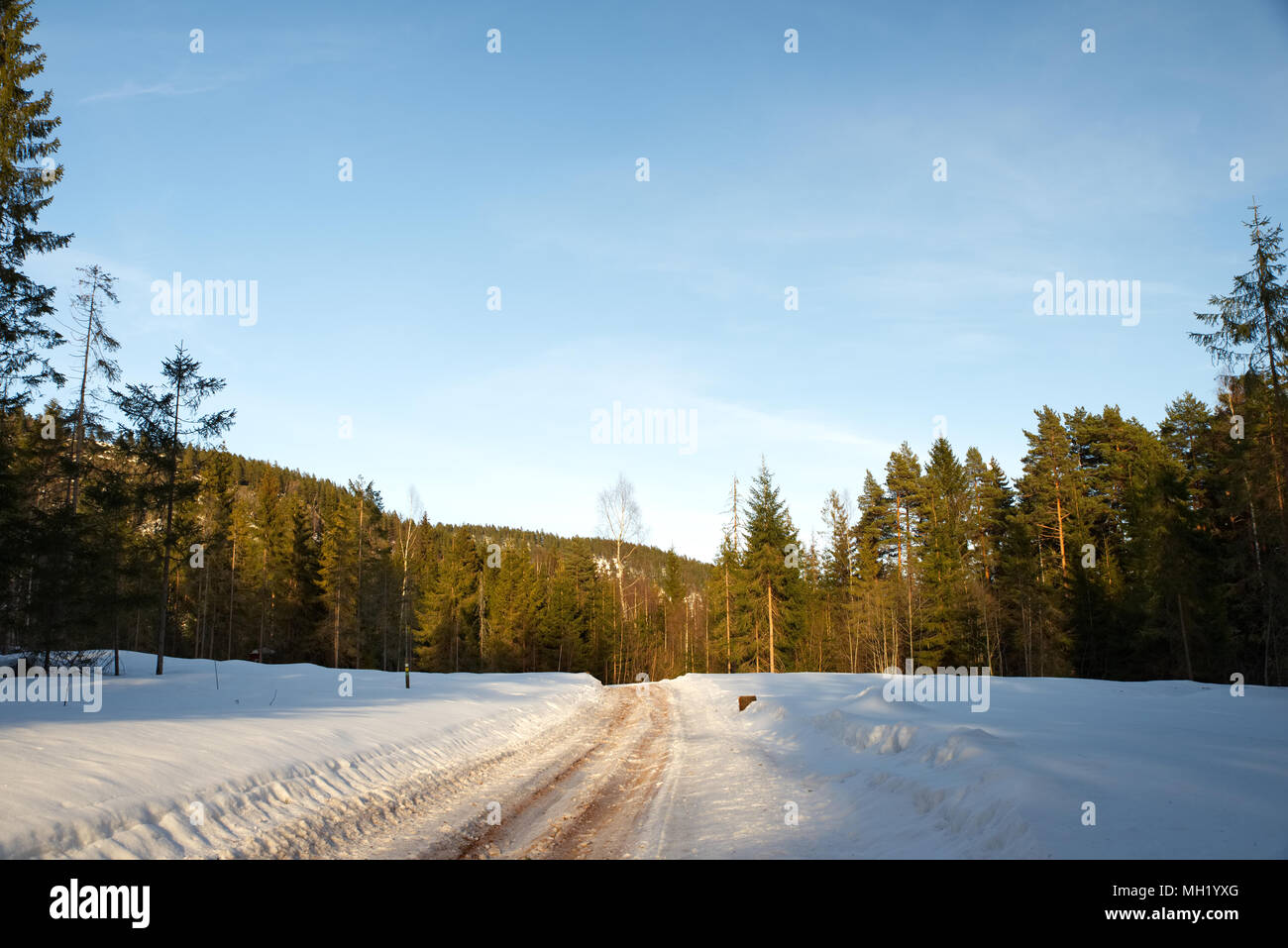 Logging road hi-res stock photography and images - Alamy