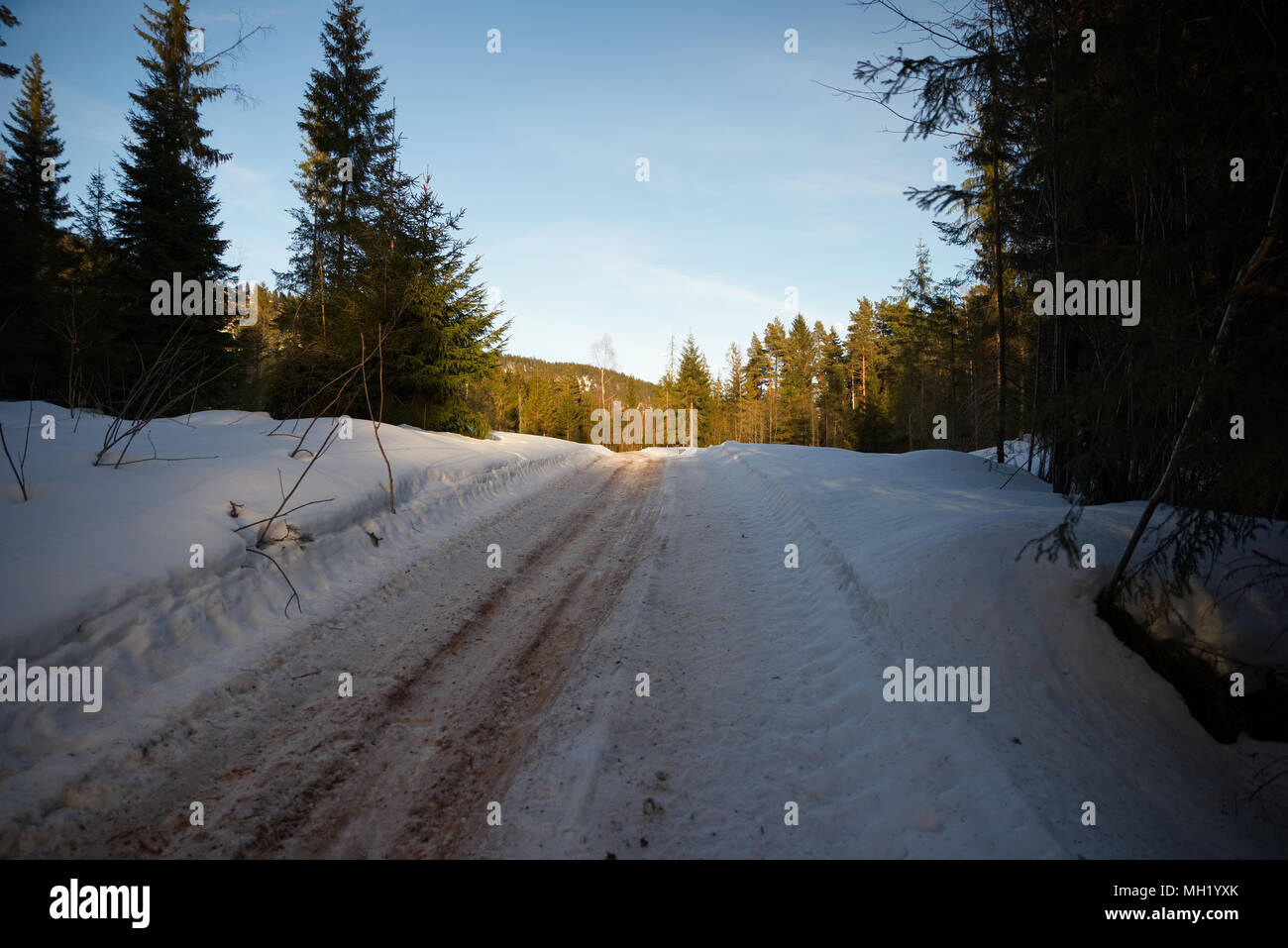 Logging road hi-res stock photography and images - Alamy
