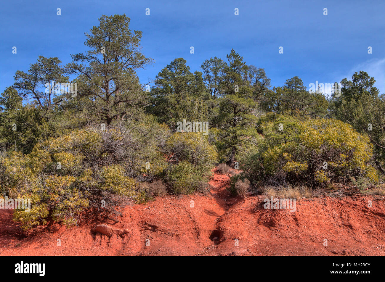Sedona, Arizona has beautiful orange rocks and pillars in the desert ...