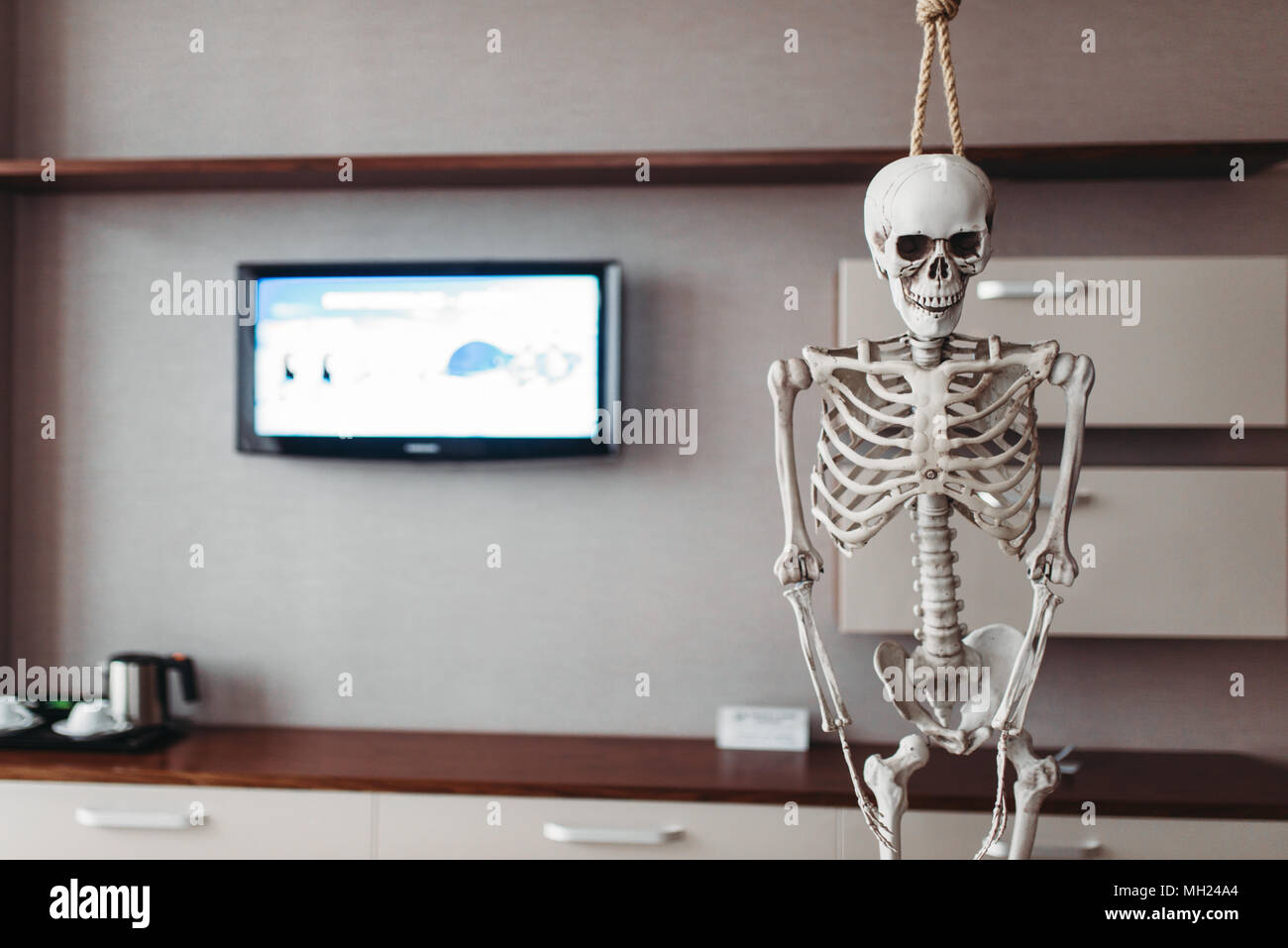 Funny human skeleton is hanging on the gallow Stock Photo - Alamy