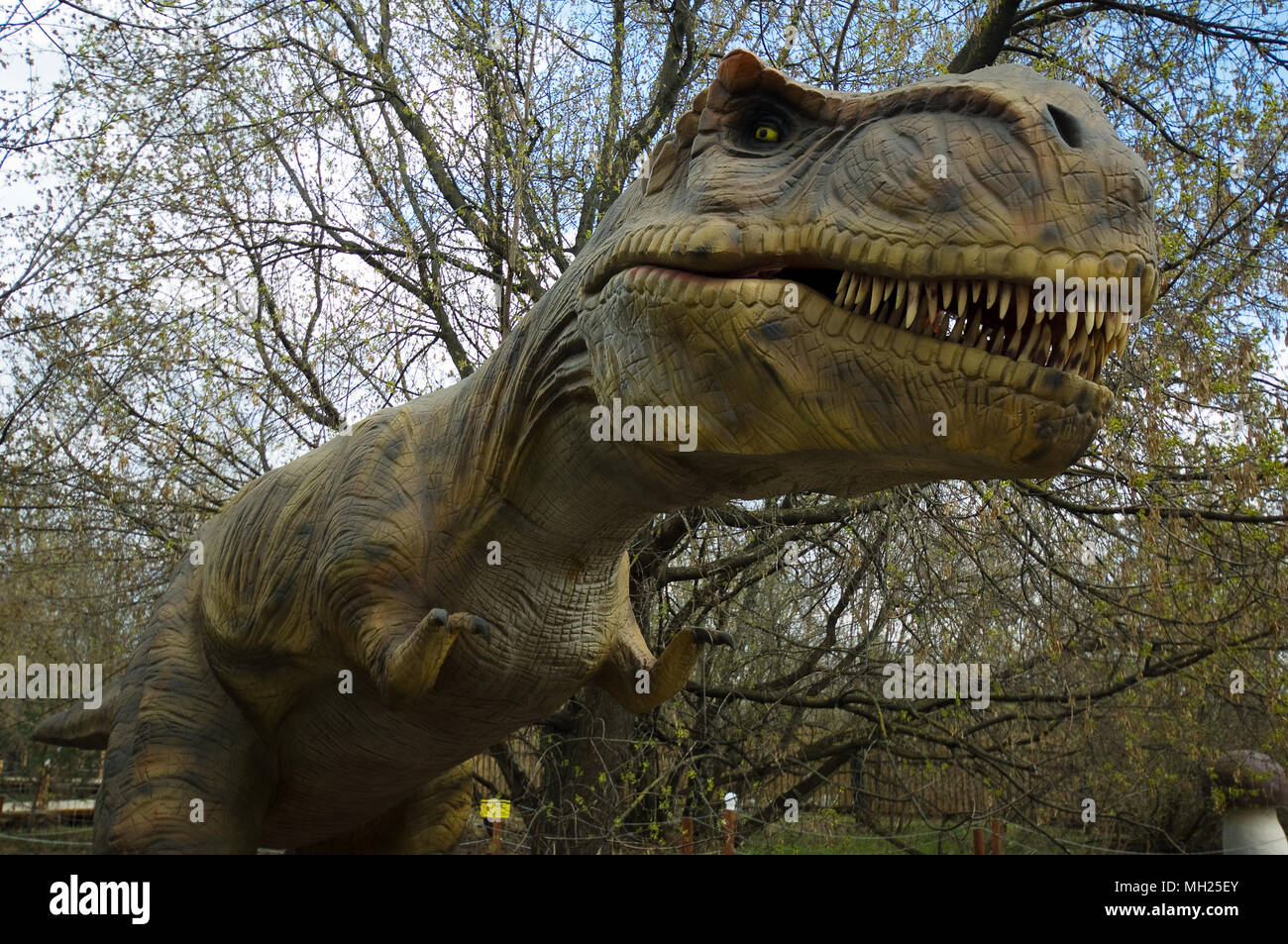 Tyrannosaur Rex in Dinosaur Park, Moscow, Russia Stock Photo - Alamy