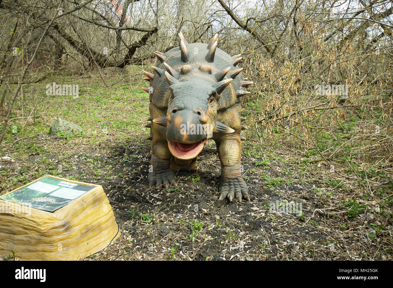 Ankylosaurus Teeth High Resolution Stock Photography and Images - Alamy
