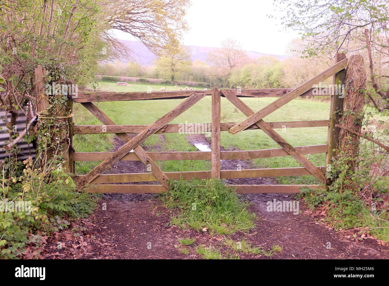 Old farm gates hi-res stock photography and images - Alamy