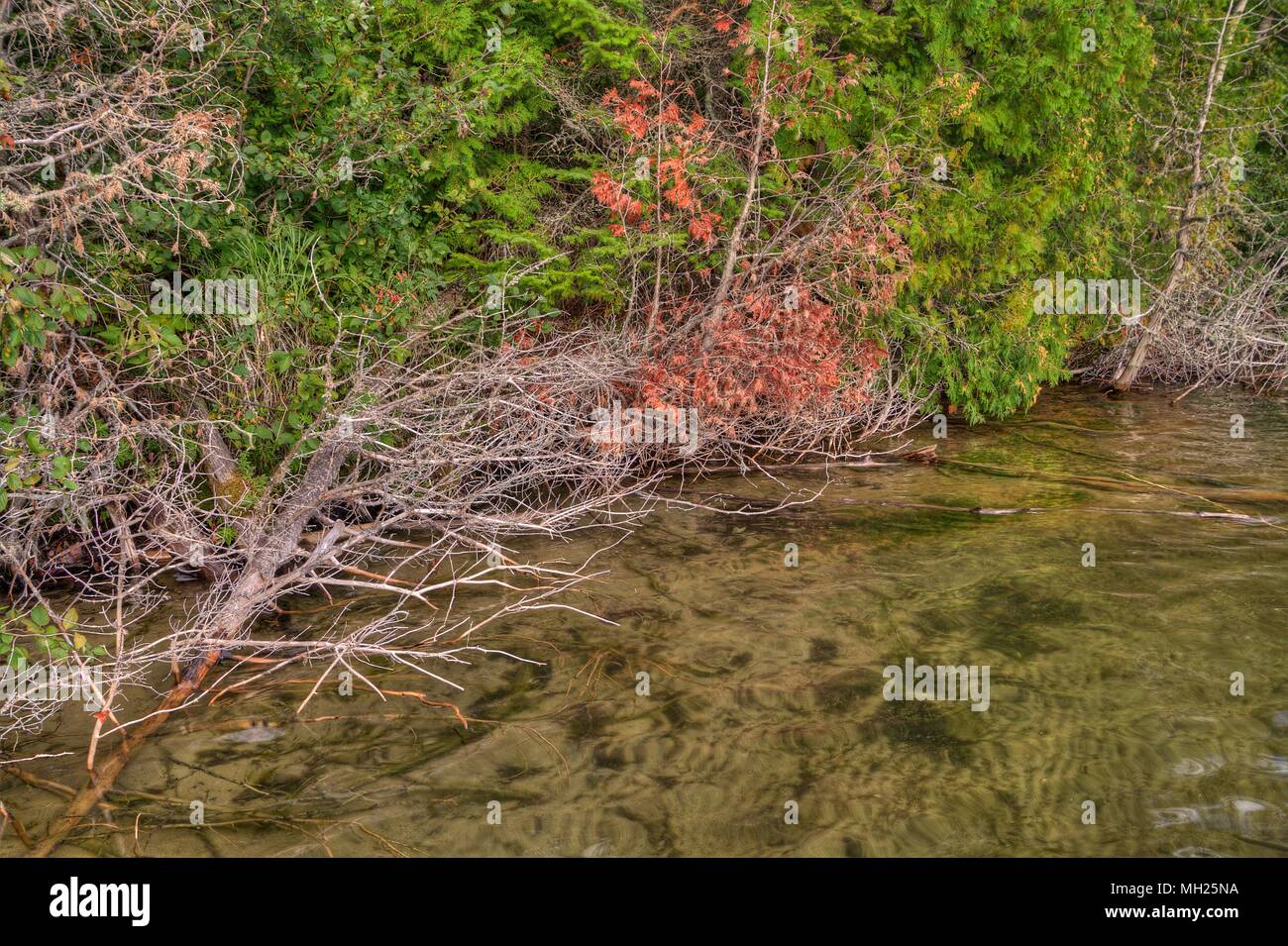 White Lake Provincial Park is an isloated park located near Mobert and ...