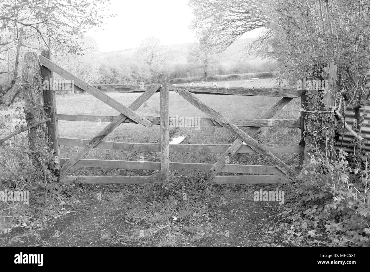 Old farm gates hi-res stock photography and images - Alamy