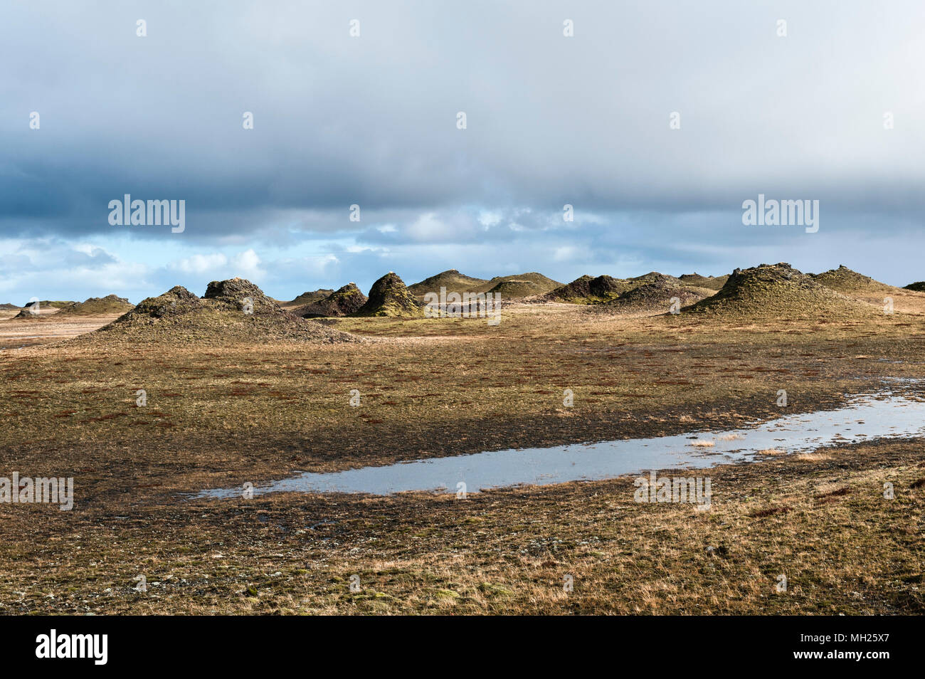 Rootless hi-res stock photography and images - Alamy