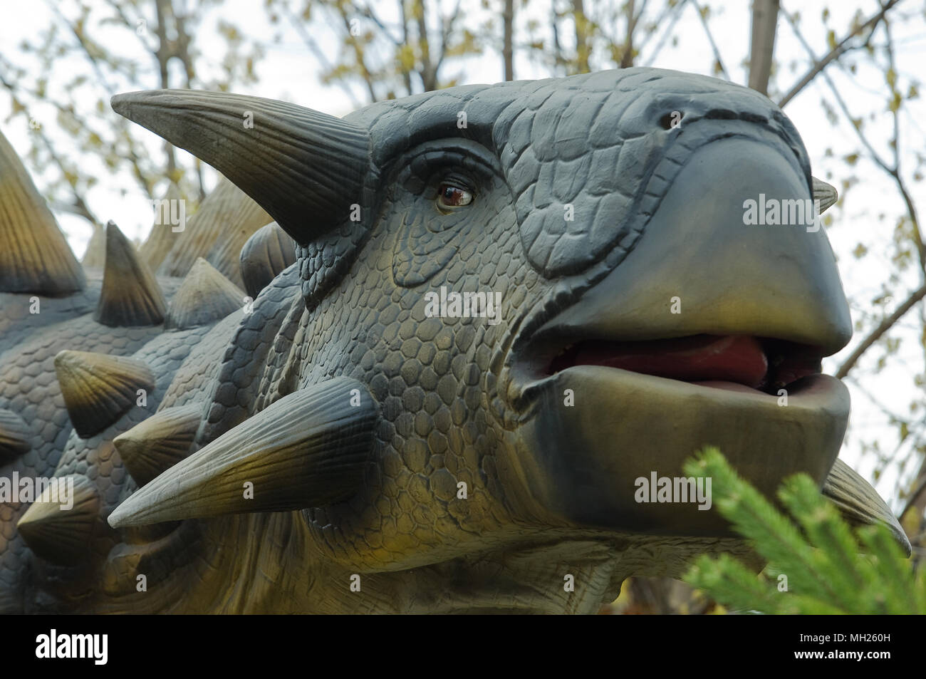 Fossil ankylosaurus dinosaur in hi-res stock photography and images - Alamy